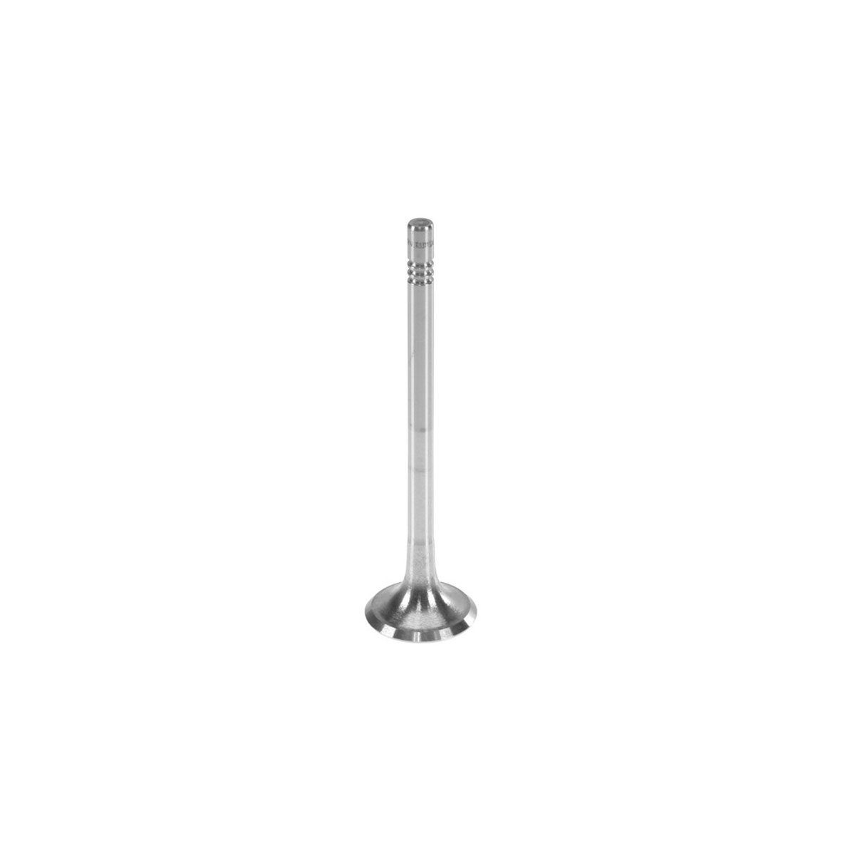 Outlet Valve - Exhaust Valve - FRECCIA 03L109611 | CruiseSpares