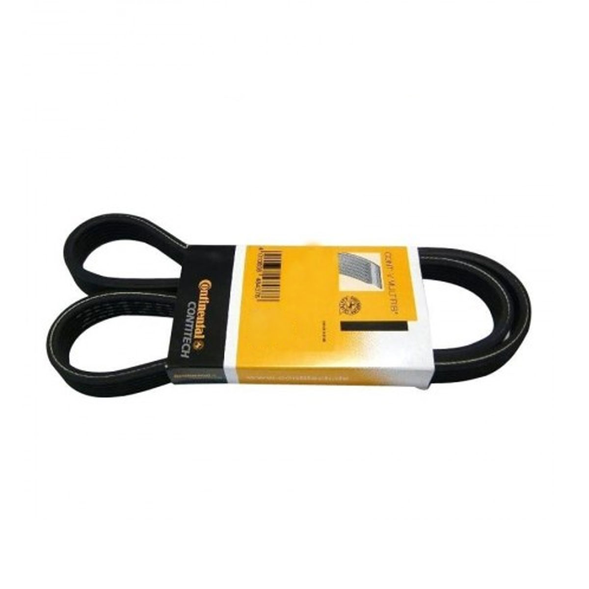 V-Ribbed Belts - CONTITECH 6PK2205 | CruiseSpares