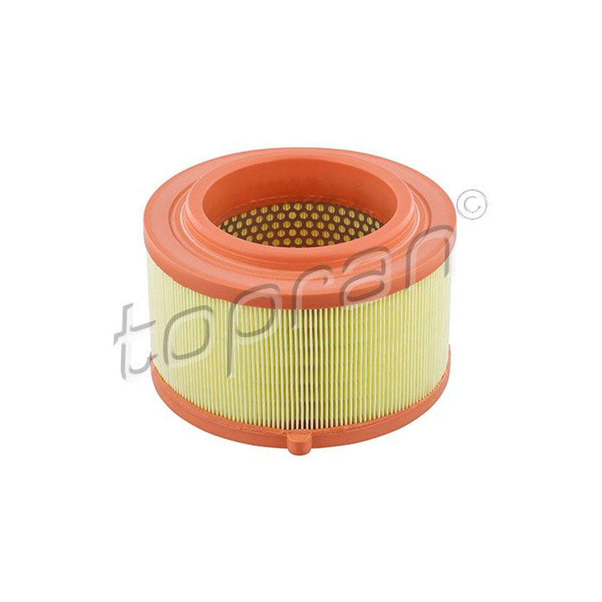 Fuel-Filter Finesse | Empower Your Ride for Peak Performance