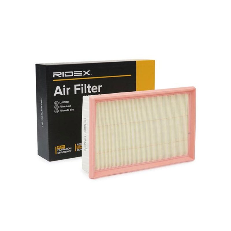 Fuel Filter Mastery | Unleash Performance with RIDEX 1725552